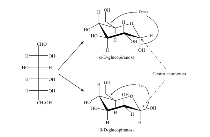 Estereoquímica y análisis conformacional